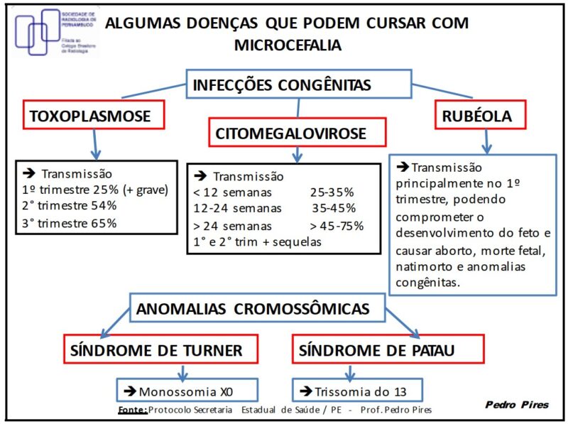 Diagnóstico Ultrassonográfico de Microcefalia – Grupo Amigo
